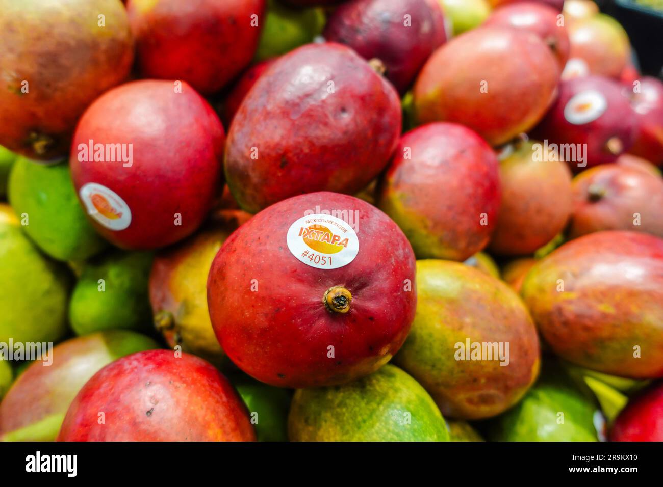 Mango from ixtapa mexico hi-res stock photography and images - Alamy
