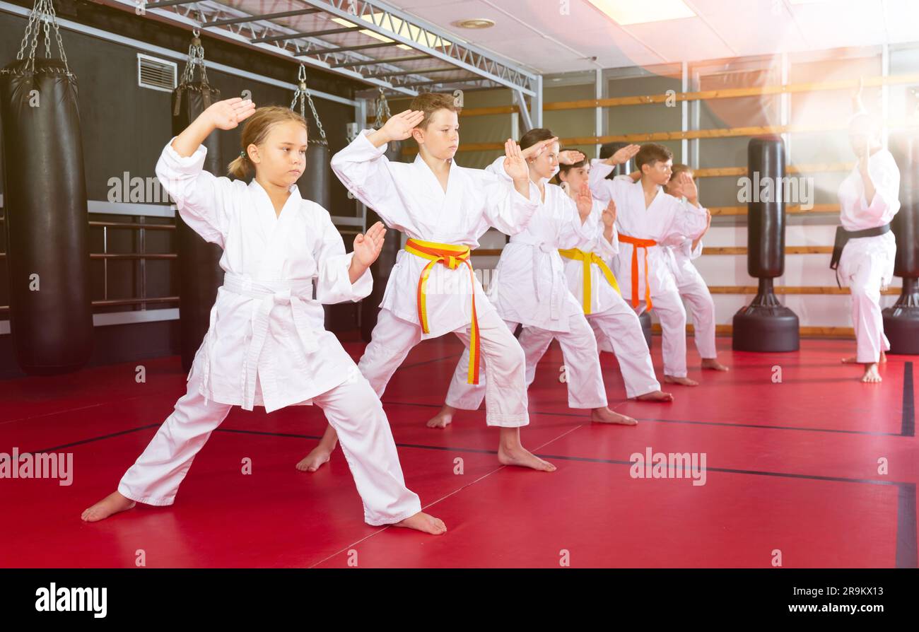 Schoolchilds practicing new technique in karate class Stock Photo - Alamy