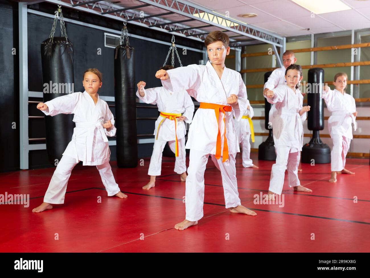 Schoolchilds practicing new technique in karate class Stock Photo - Alamy