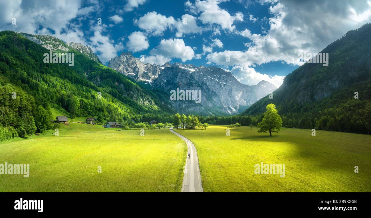 Aerial view of road in alpine mountains, green meadows, trees Stock ...