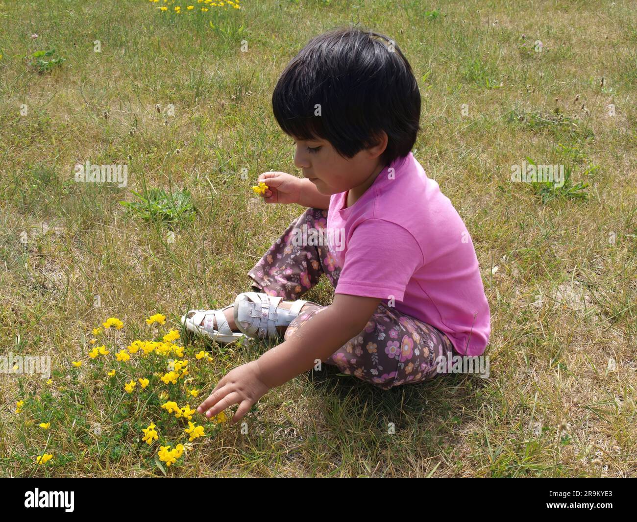 Little girl playing with flowers Stock Photo - Alamy