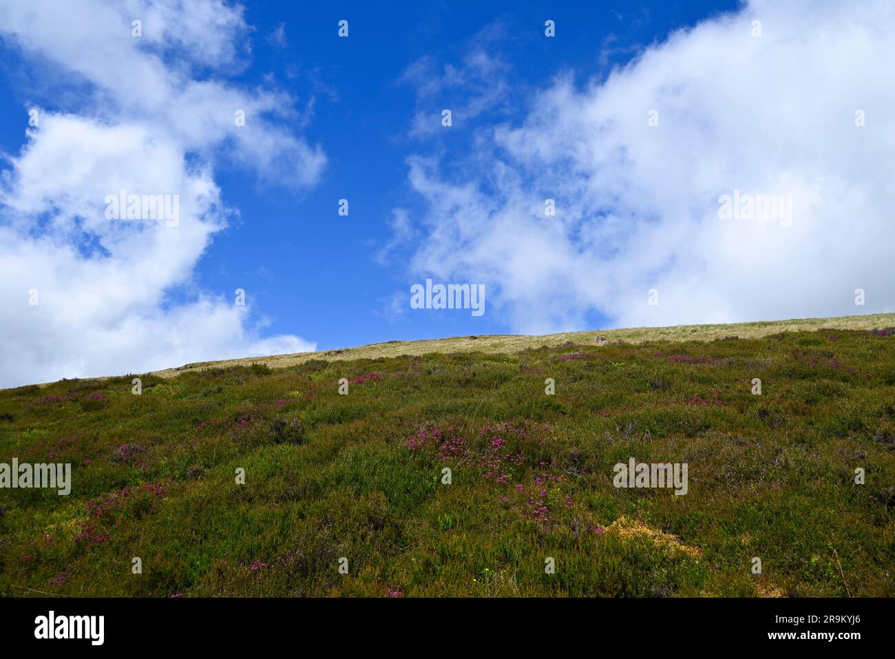 Glendevon hillside Perthshire Stock Photo - Alamy