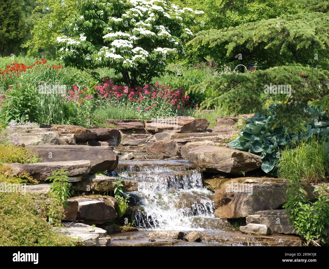 Holden arboretum waterfall hi-res stock photography and images - Alamy