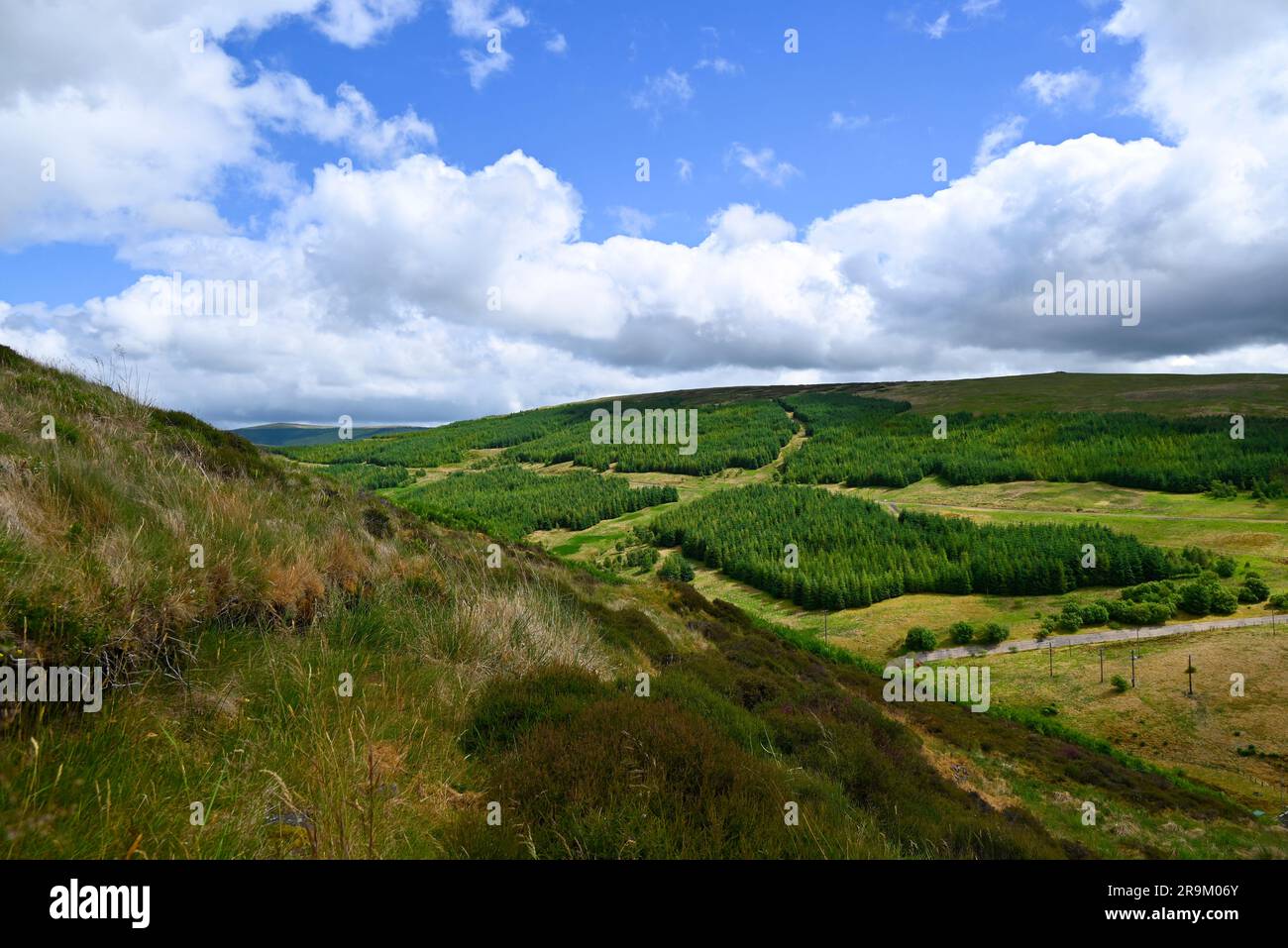 Glendevon hillside Perthshire Stock Photo - Alamy