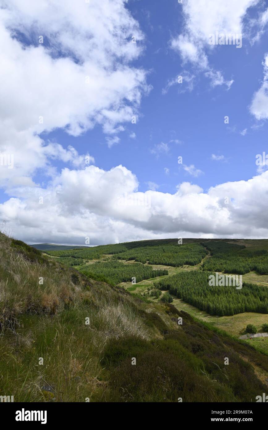 Glendevon hillside Perthshire Stock Photo - Alamy