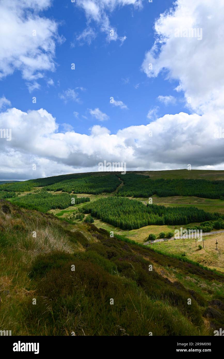 Glendevon hillside Perthshire Stock Photo - Alamy