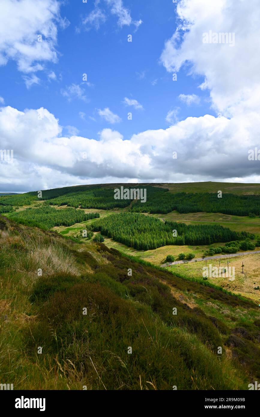 Glendevon hillside Perthshire Stock Photo - Alamy