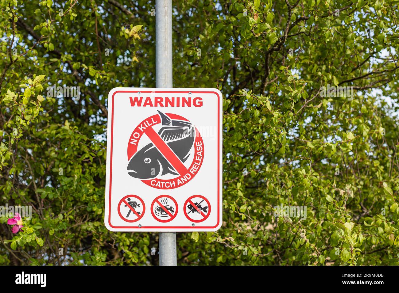 No rules hi-res stock photography and images - Alamy