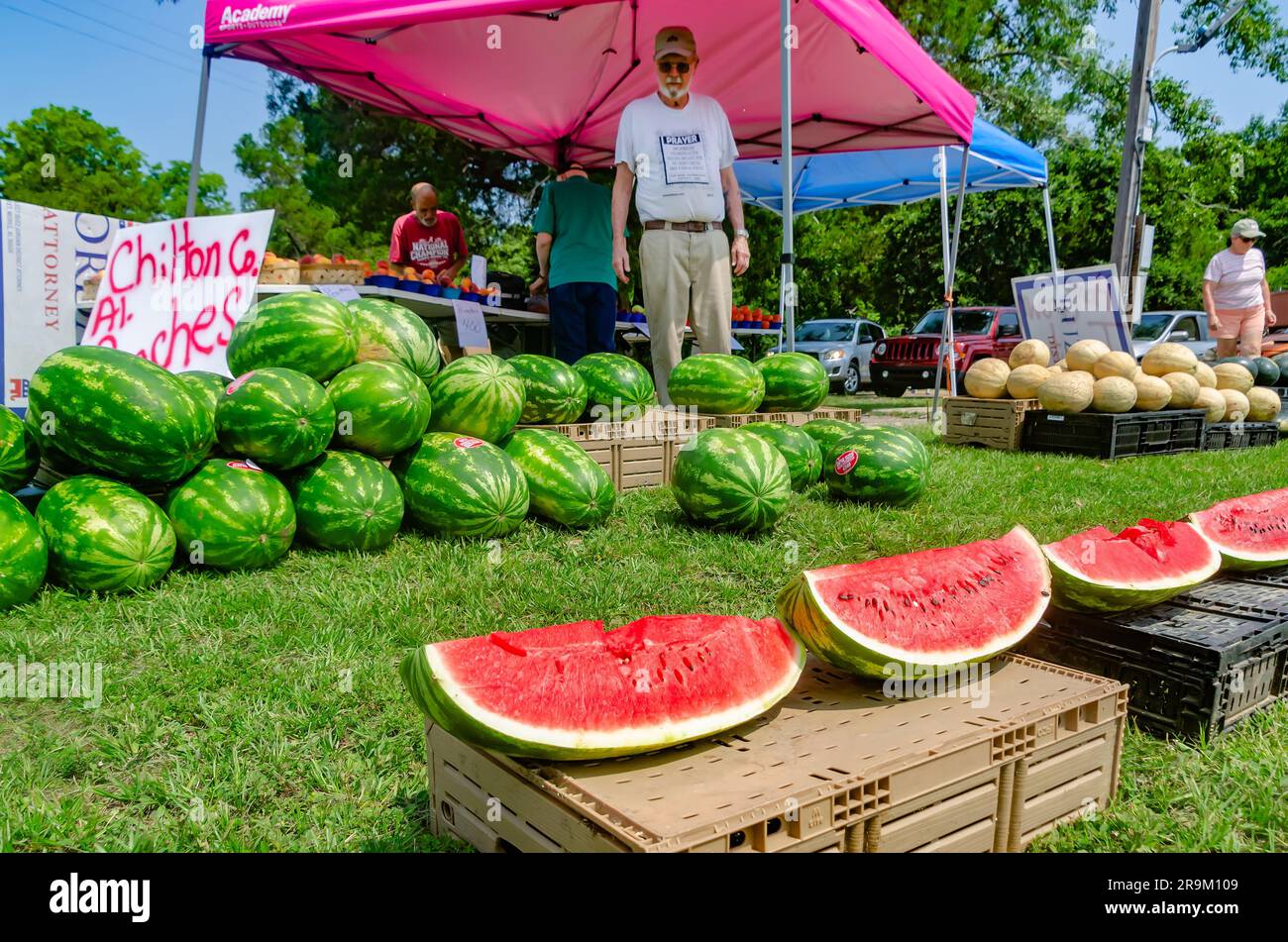 Customers inspect the watermelons at Randy Price’s fruit stand, June 27 ...
