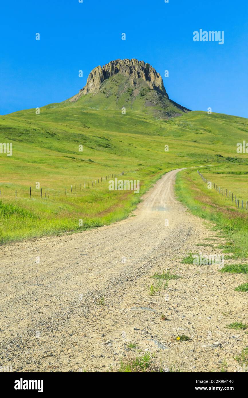 birdtail butte rising above the prairie and a backroad near simms ...