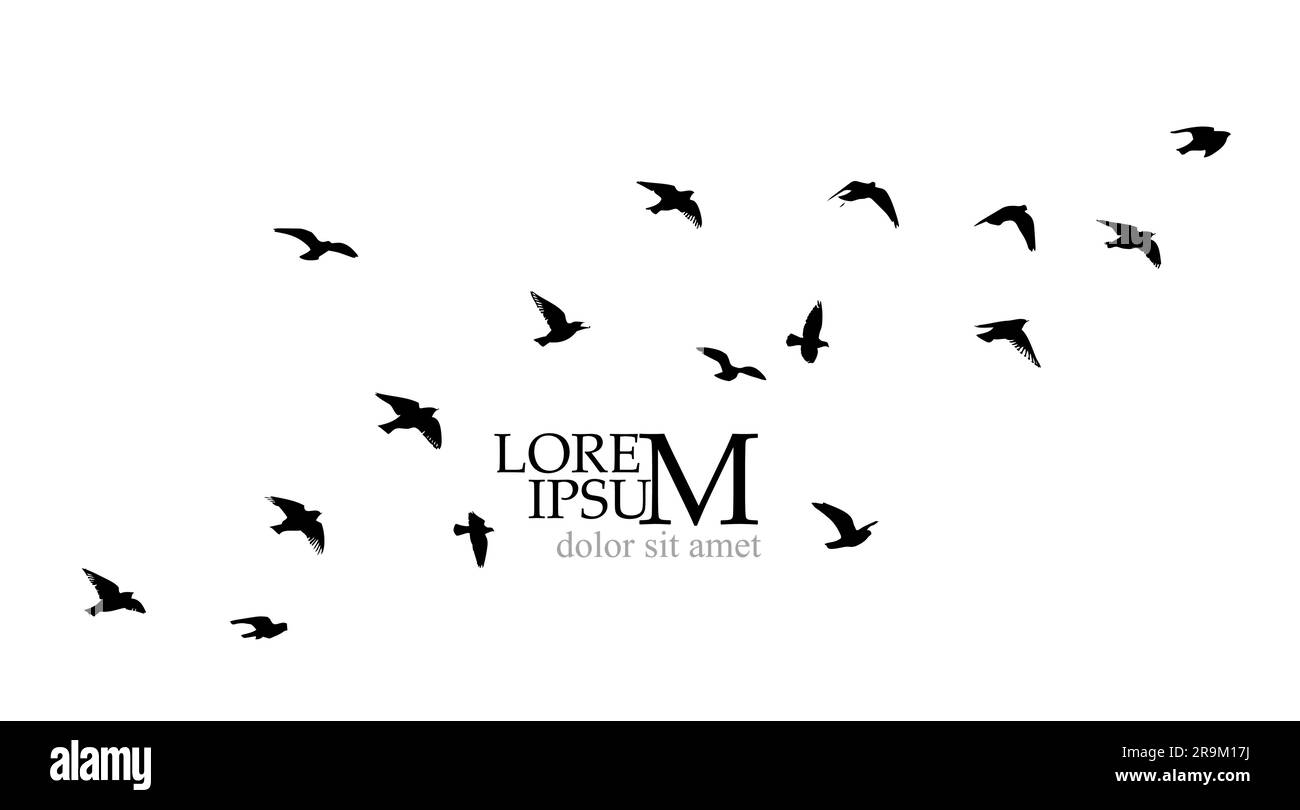 A flock of flying birds. Vector illustration Stock Vector Image & Art ...