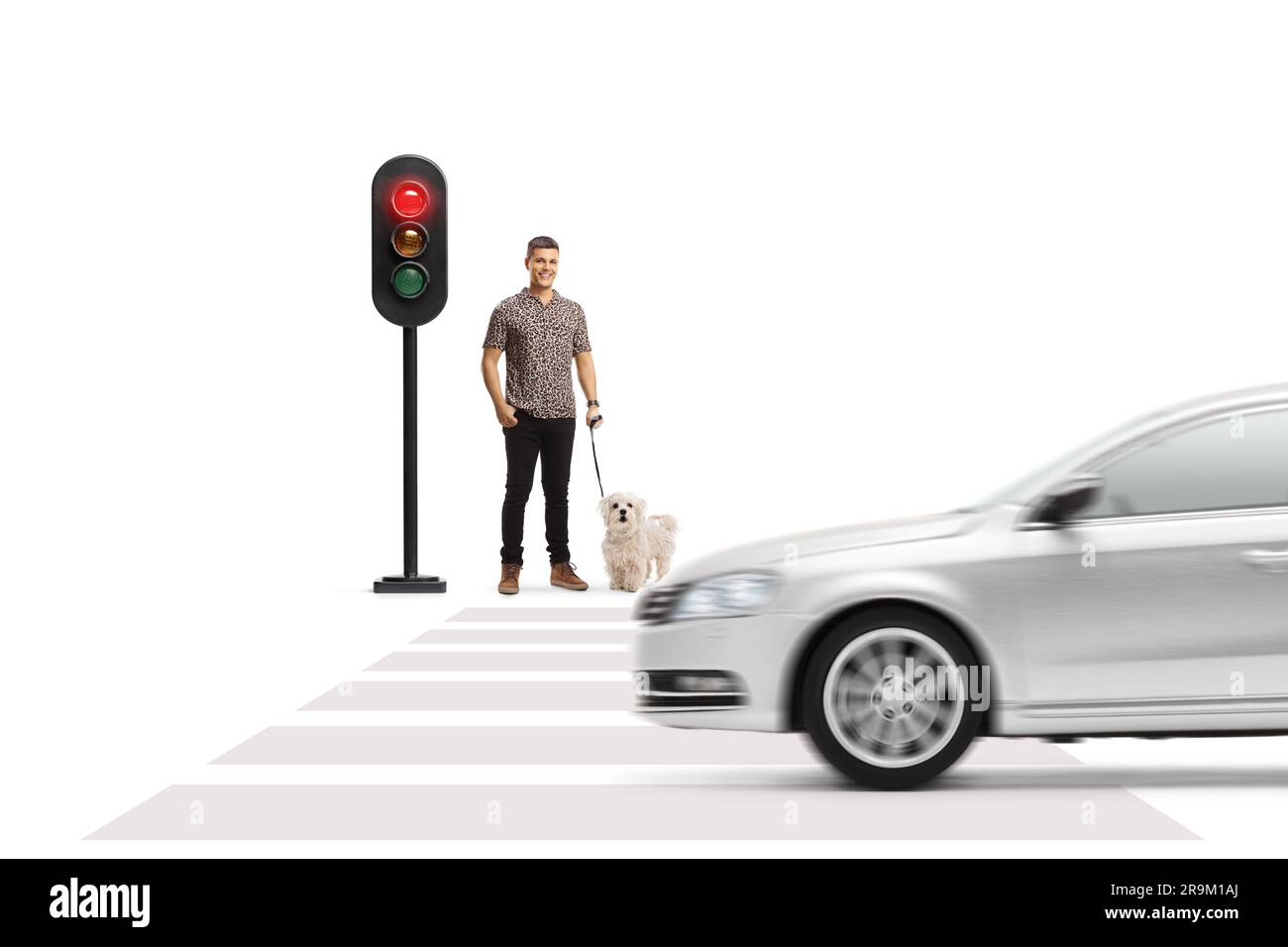 Man with a dog standing and waiting at traffic light isolated on white ...