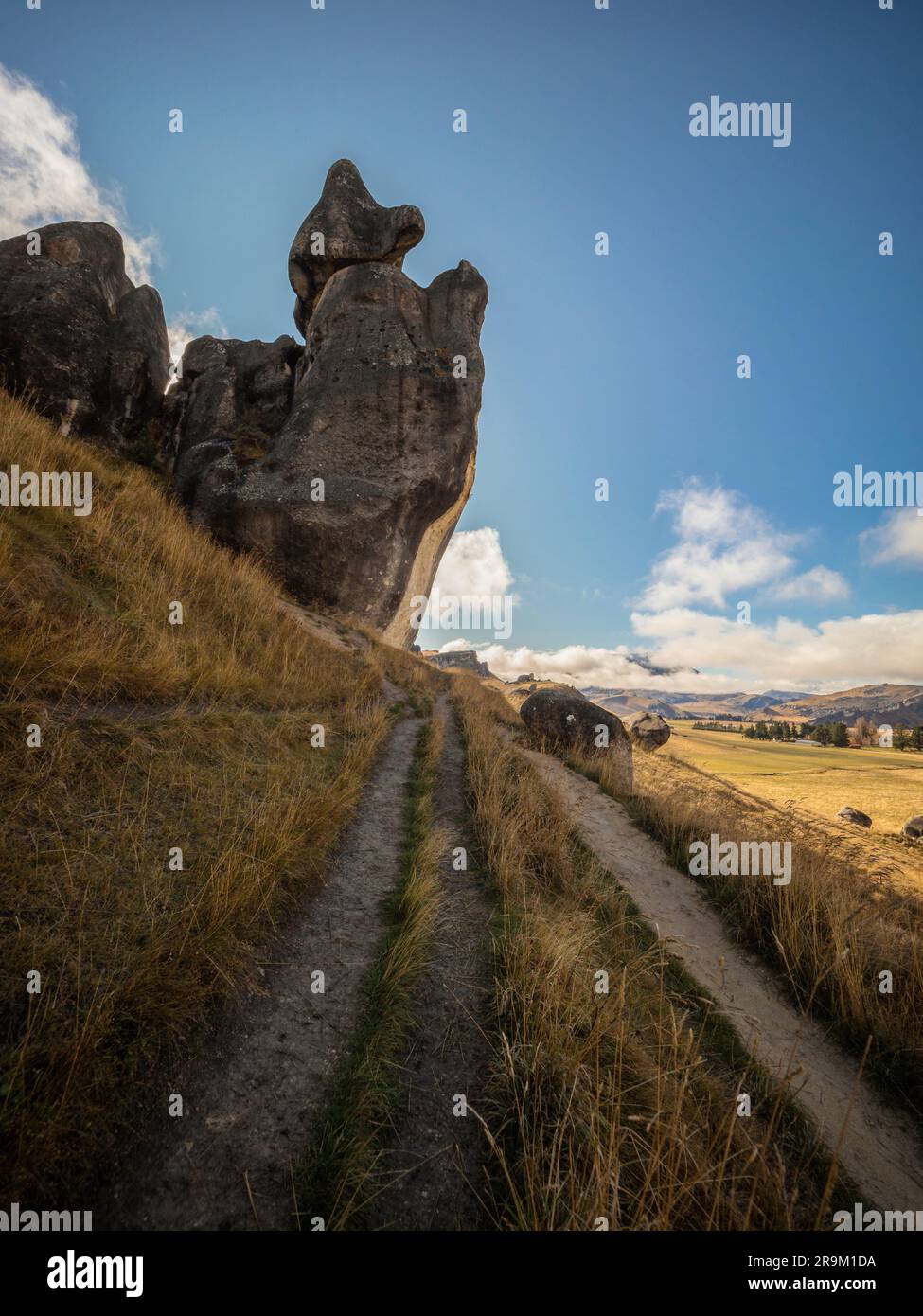 Animal shaped limestone boulder rocks nature panorama landscape in dry ...