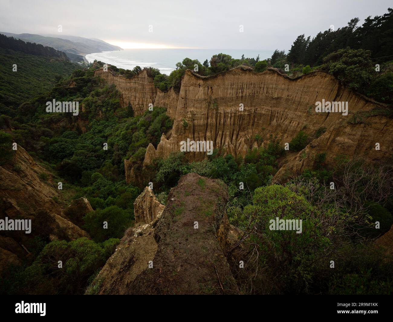 Bizarre pillars and columns rock formations, natural erosion of clay ...