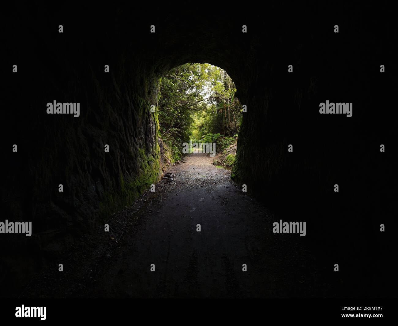 Moss covered tunnel opening of Chasm Creek Trail Track on abandoned ...