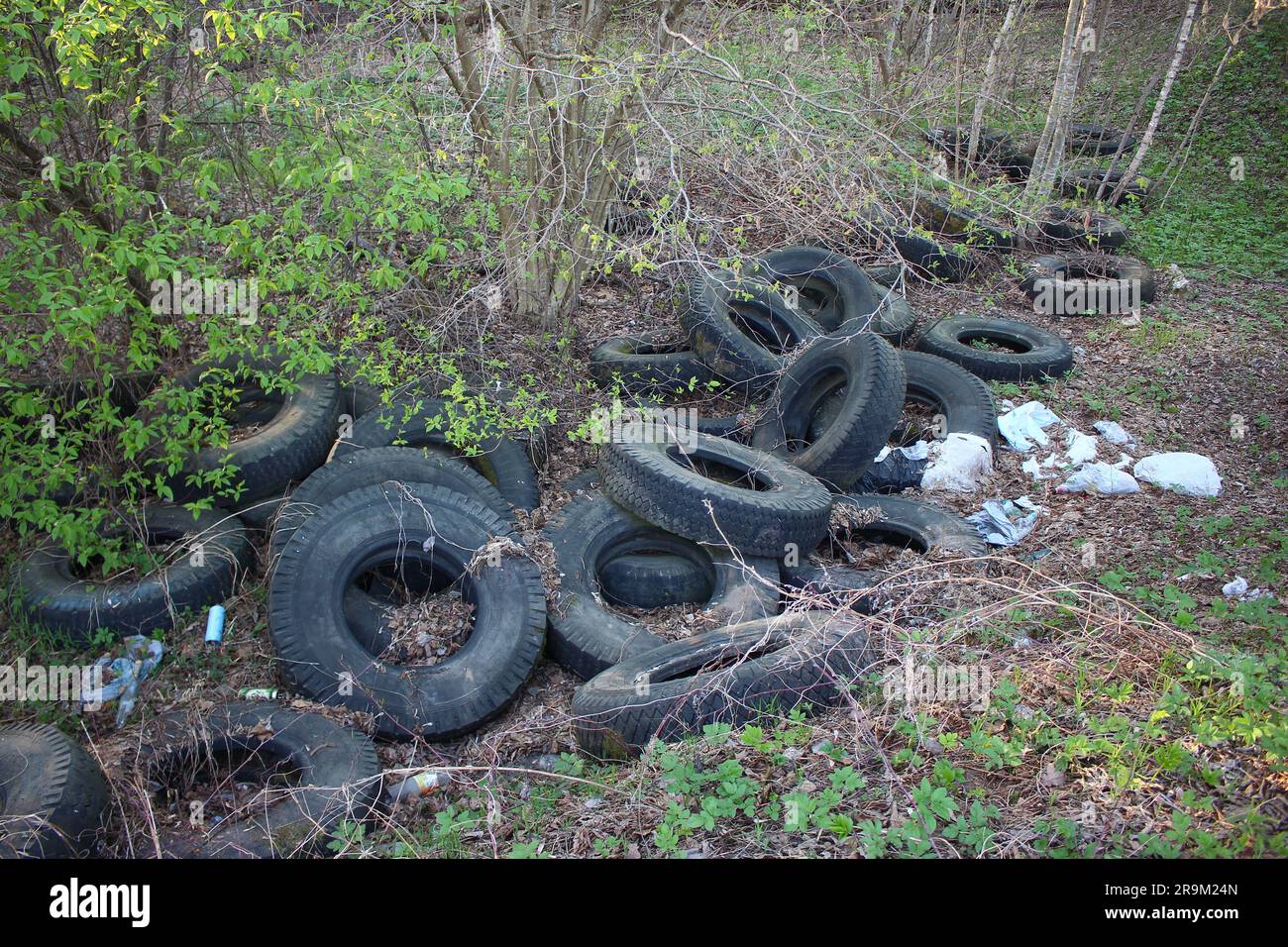 Illegal dump of truck tires in nature in a forest area Stock Photo - Alamy