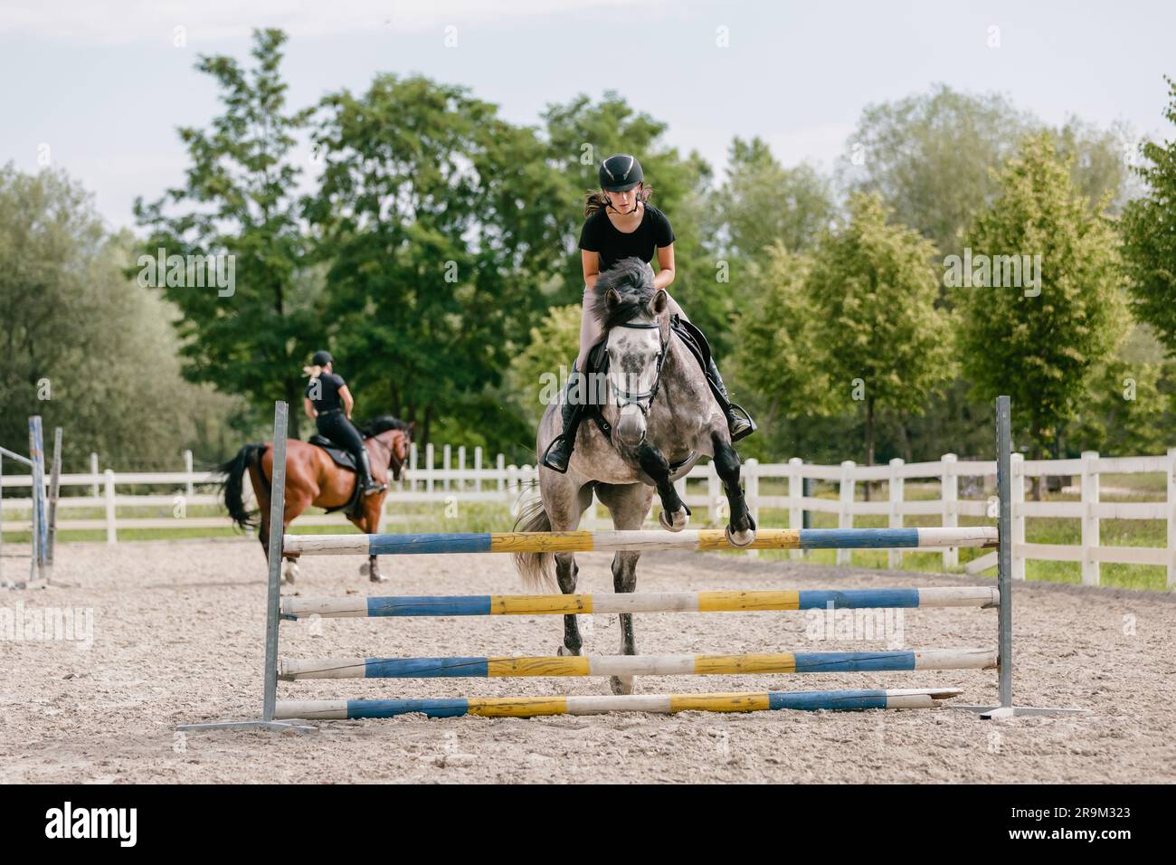Girl on a dapple gray horse practicing jumping over a log fence in the ...