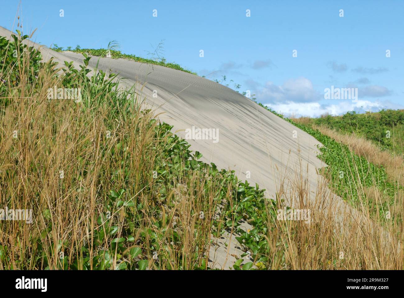 SIgatoka Sand Dunes National Park, Fiji Stock Photo - Alamy