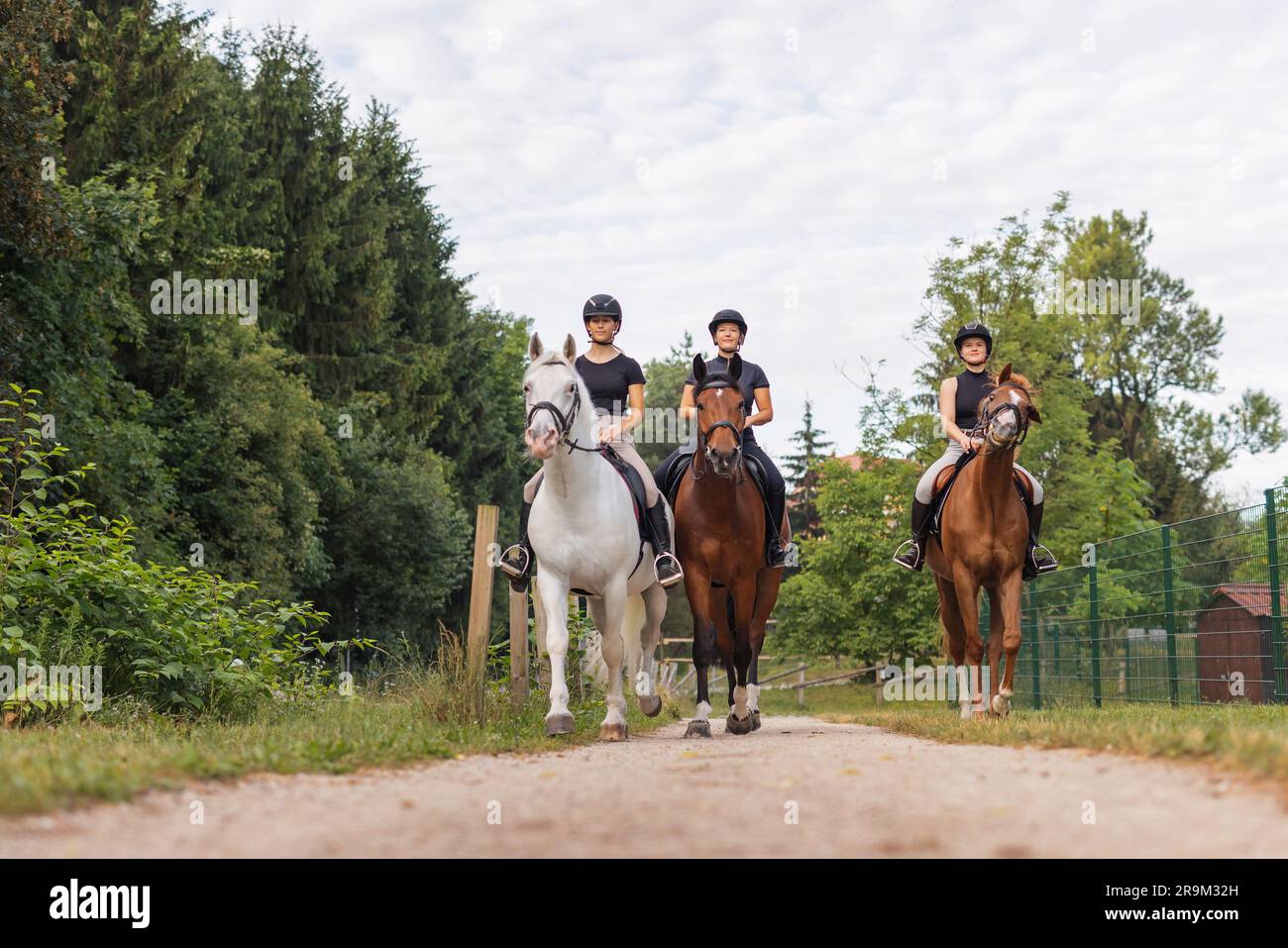 Three horsewomen enjoy riding beautiful horses, side by side along the ...