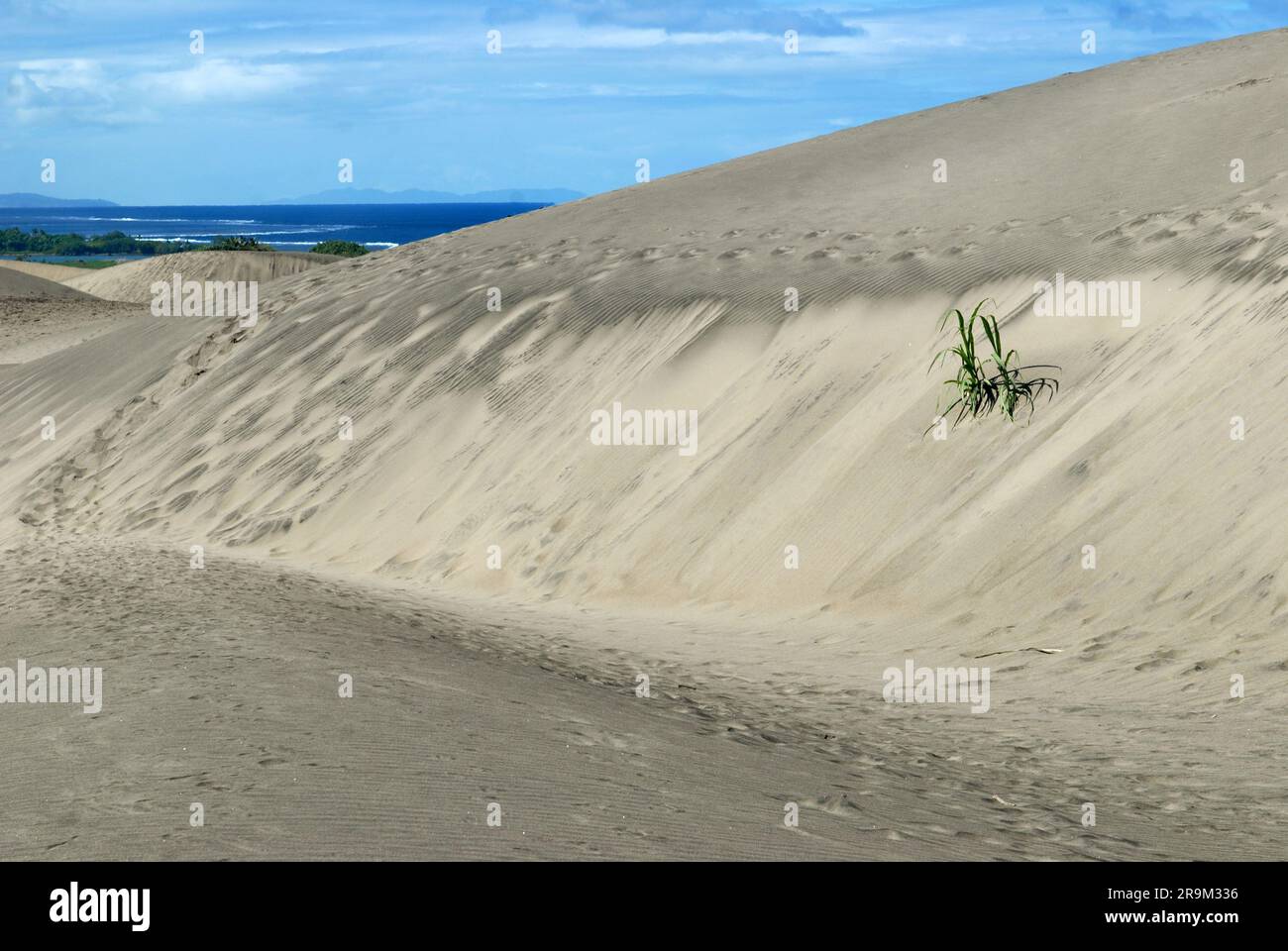 SIgatoka Sand Dunes National Park, Fiji Stock Photo - Alamy