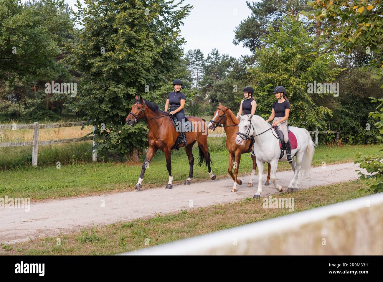 Three female riders riding horses along the trail. Recreation and ...