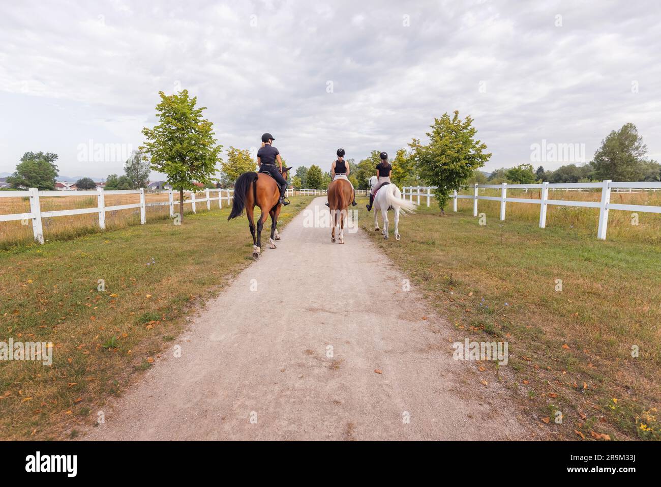 Horsewomen riding beautiful horses along the trail at the equestrian ...