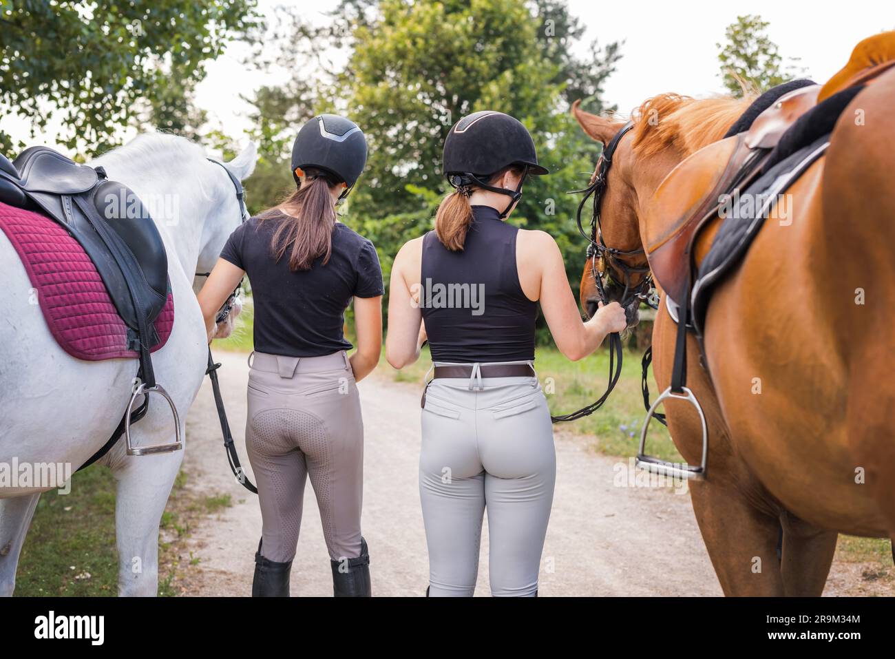 Two beautiful horses with female jockeys, walking side by side along a ...
