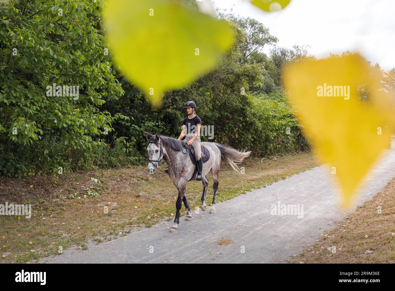Smiling young woman wearing the equestrian outfit, riding a beautiful ...
