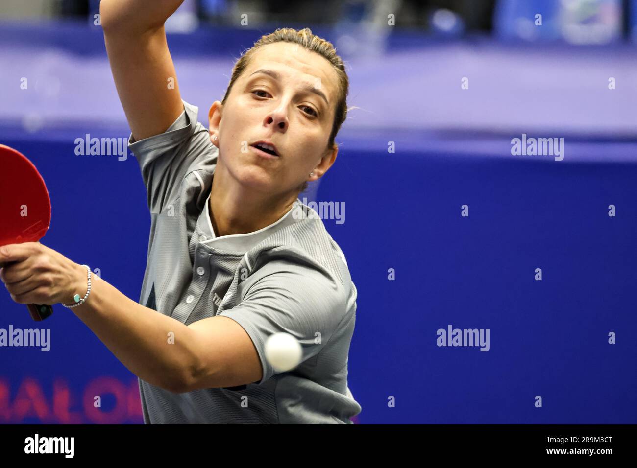 Hutnik sports hall hi-res stock photography and images - Alamy
