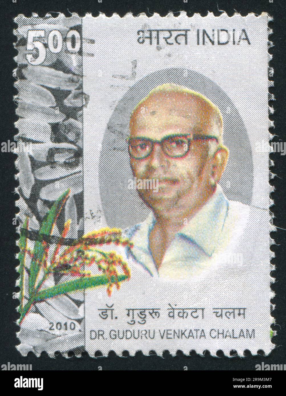 INDIA - CIRCA 2010: stamp printed by India, shows Guduru Venkata Chalam ...