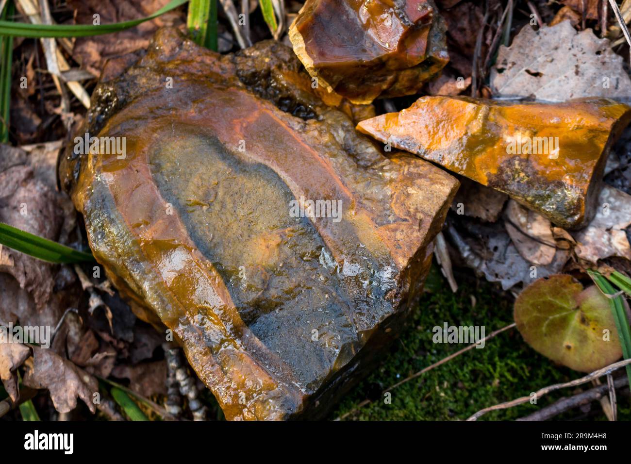 Patterned flint with a concentric-zonal pattern in nature, searching ...
