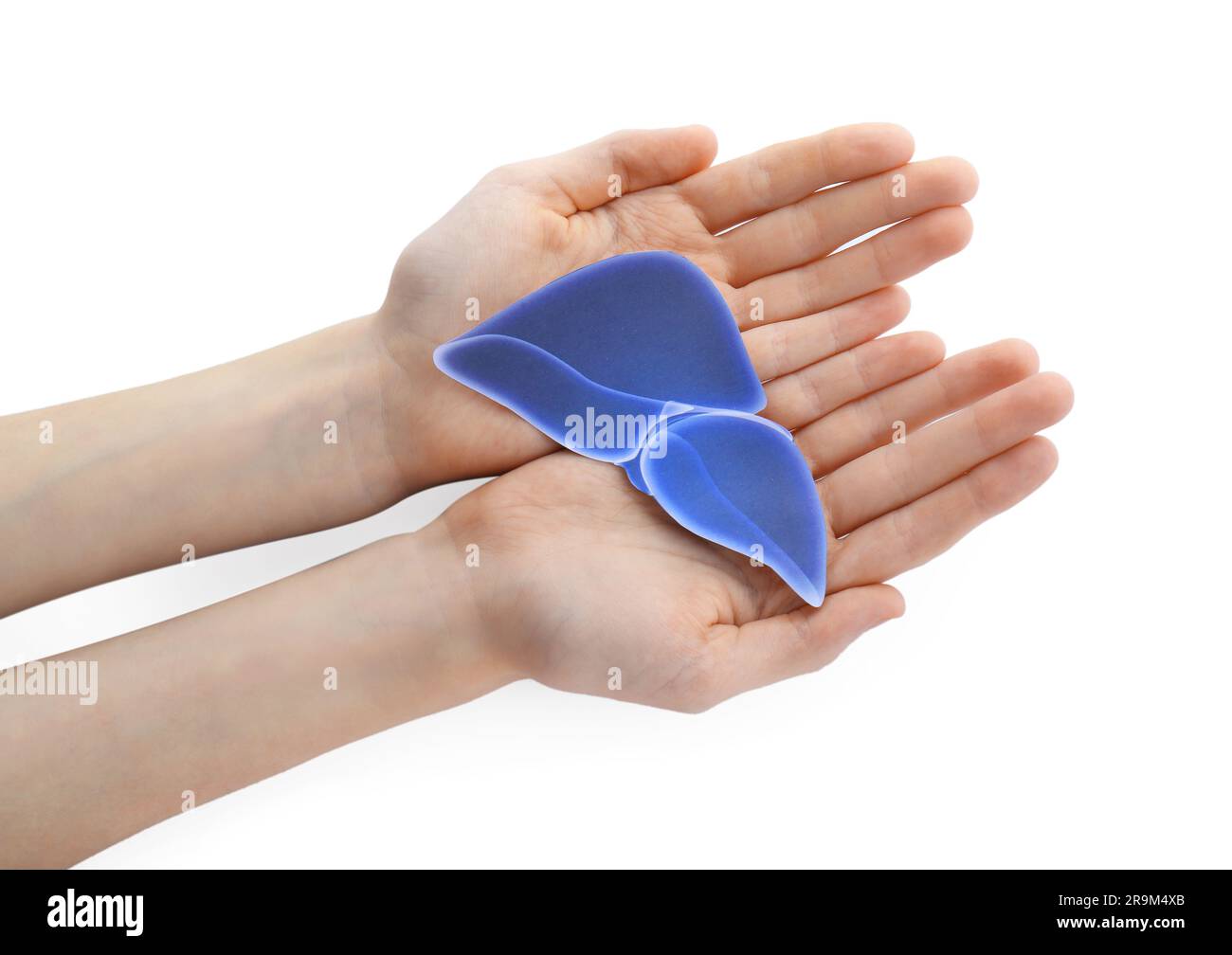 Woman holding paper liver on white background, closeup and top view ...