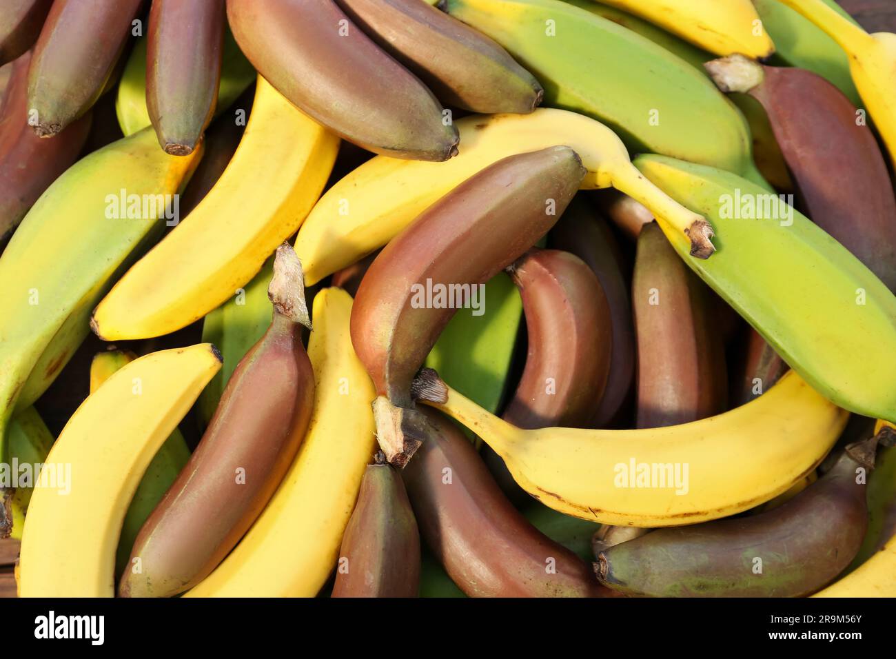 Different types of bananas as background, top view Stock Photo - Alamy