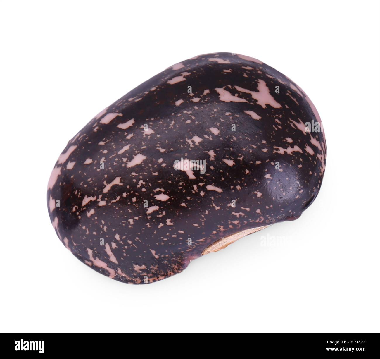 Dry kidney bean isolated on white, top view Stock Photo - Alamy