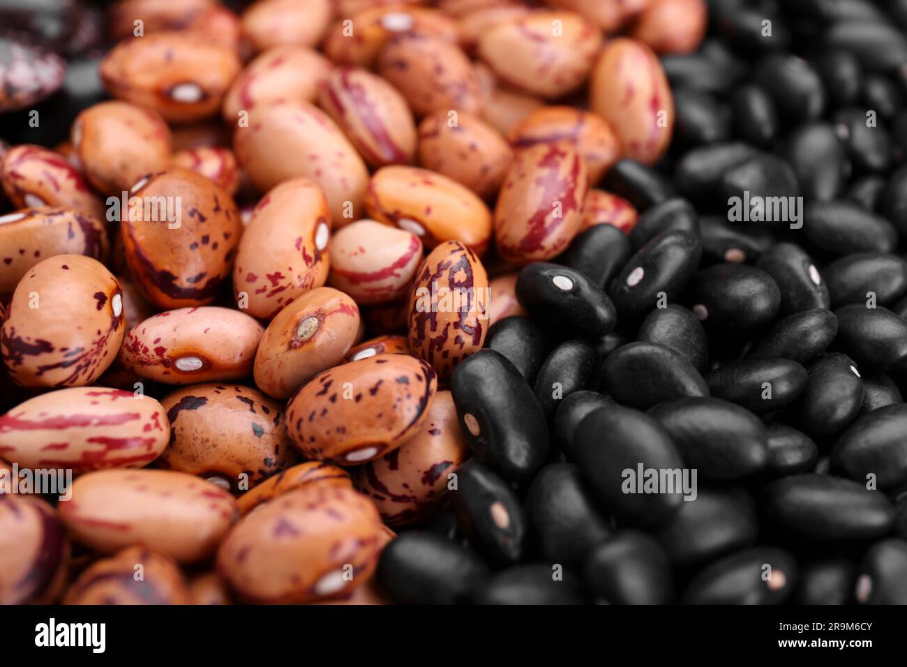 Different kinds of beans as background, closeup Stock Photo - Alamy