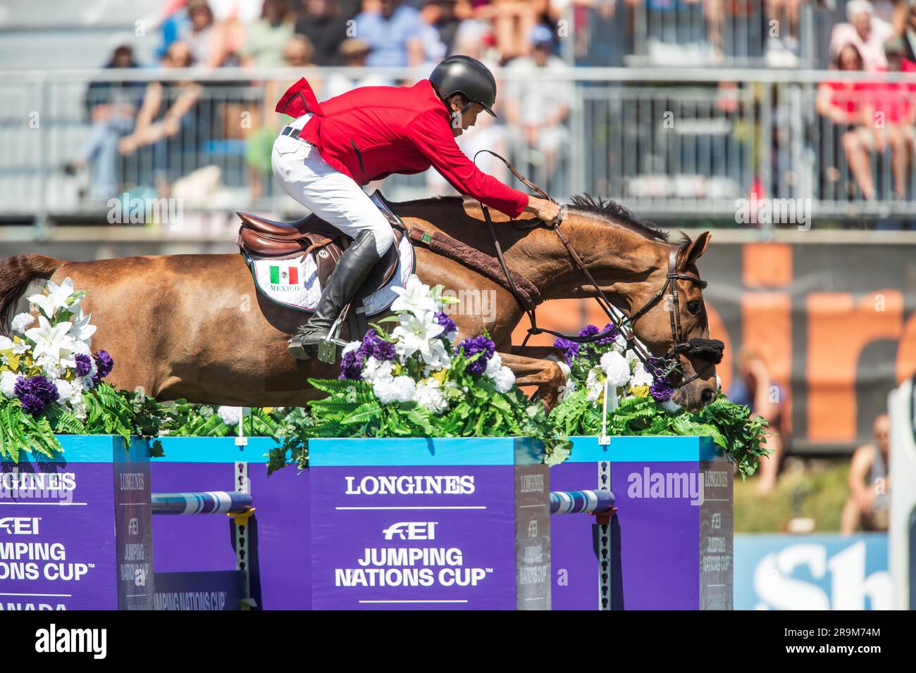 Federico Fernandez of team Mexico competes in the FEI Nations Cup on ...