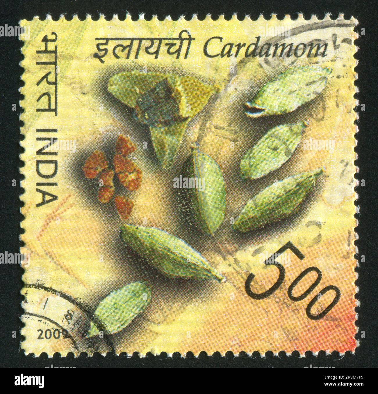 INDIA - CIRCA 2009: stamp printed by India, shows cardamon, circa 2009 ...