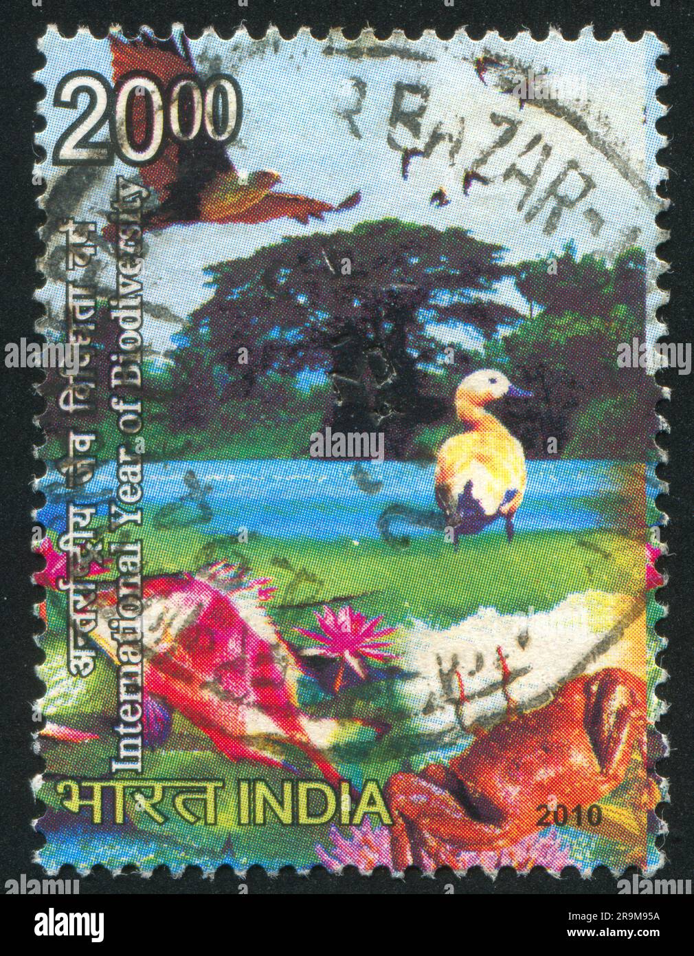 INDIA - CIRCA 2010: stamp printed by India, shows duck, fish, crab ...