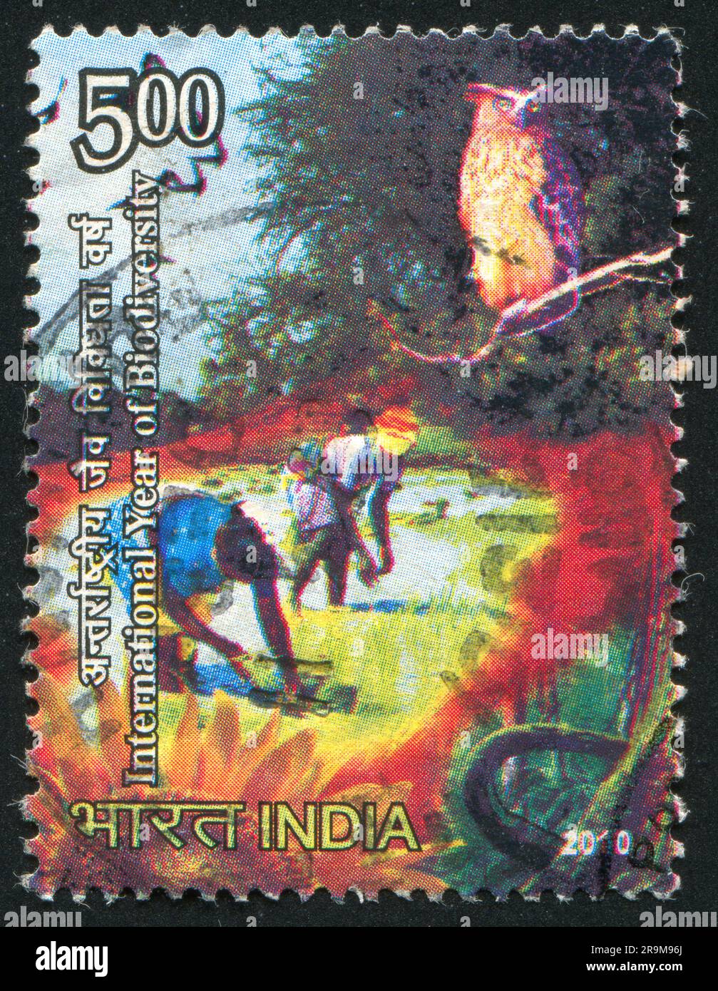 INDIA - CIRCA 2010: stamp printed by India, shows owl, women, circa ...