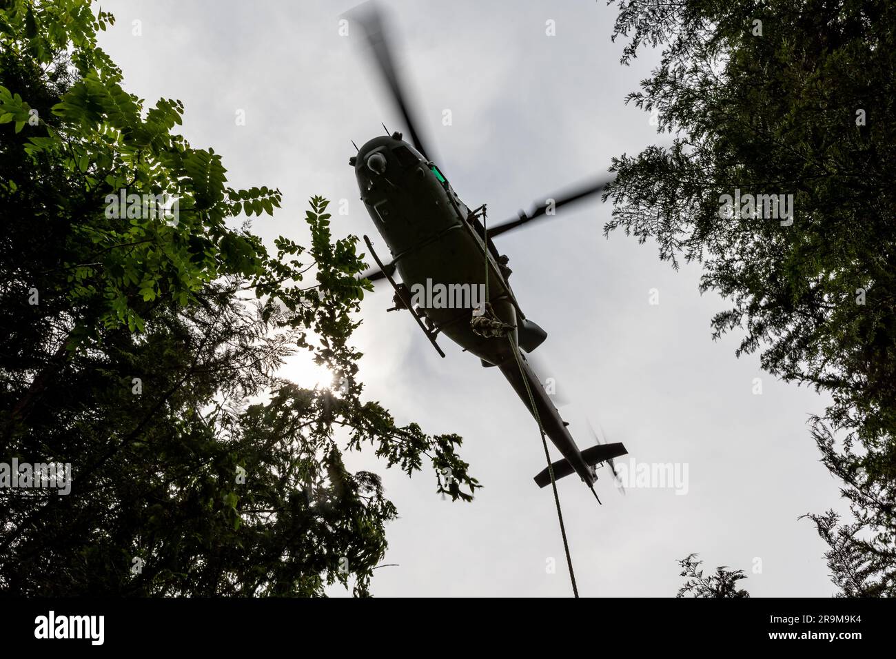 A U.S. Marine with 3rd Reconnaissance Battalion fast ropes from a UH-1Y ...