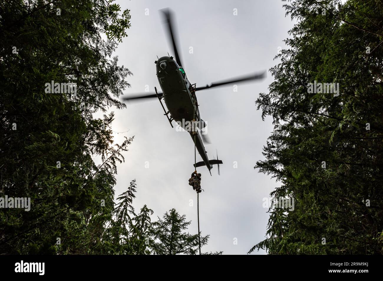 U.S. Marines with 3rd Reconnaissance Battalion fast rope from a UH-1Y ...