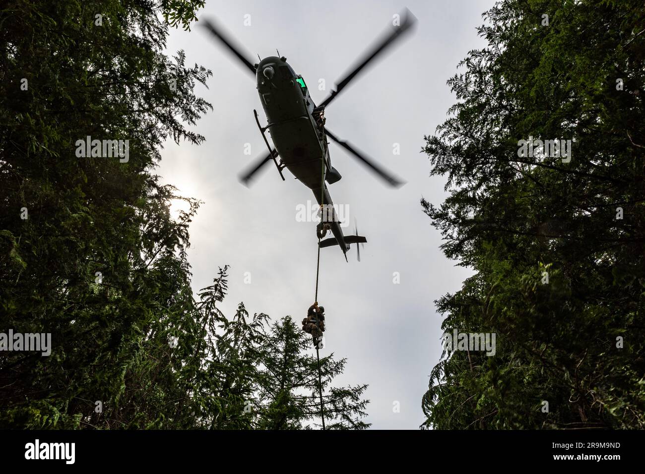 U.S. Marines with 3rd Reconnaissance Battalion fast rope from a UH-1Y ...