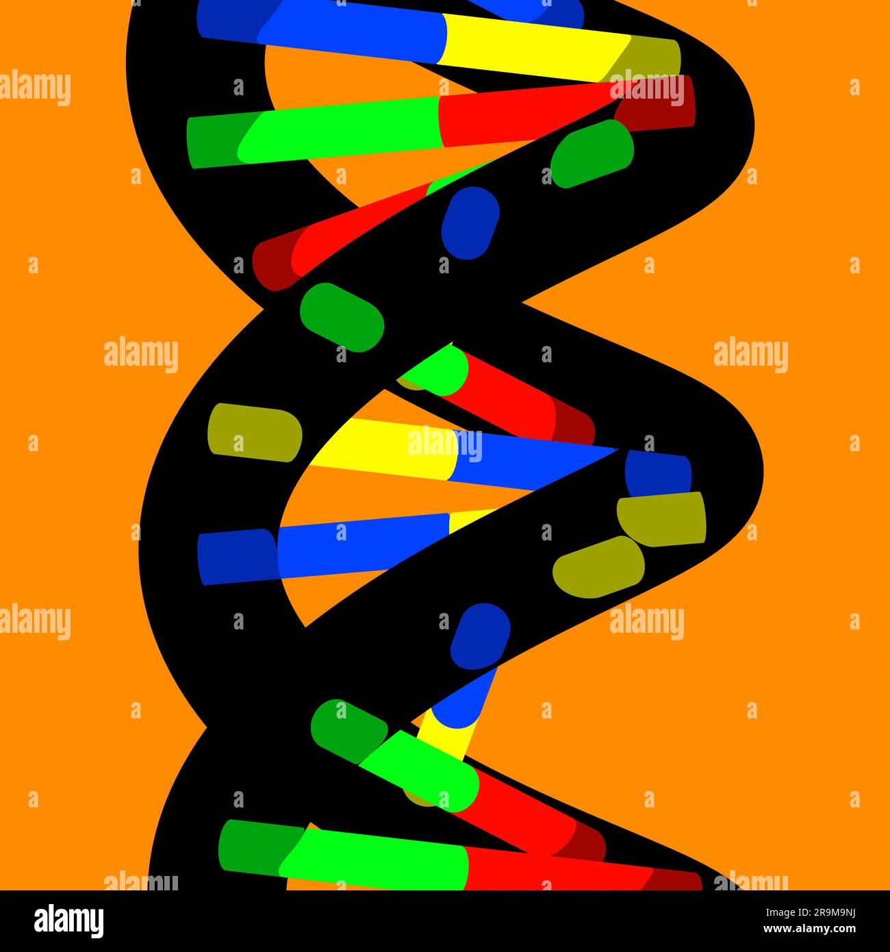 DNA molecule, illustration Stock Photo - Alamy