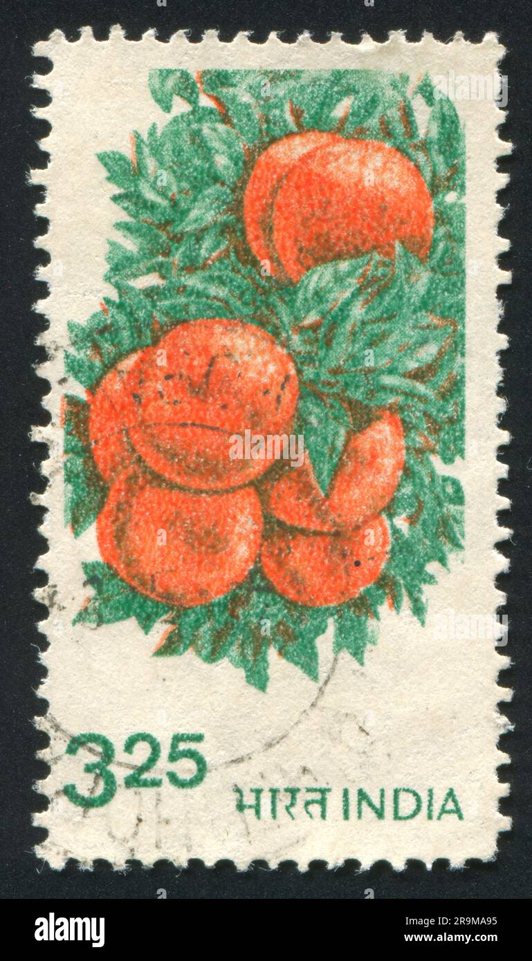 INDIA - CIRCA 1953: stamp printed by India, shows Fruits and Plants ...