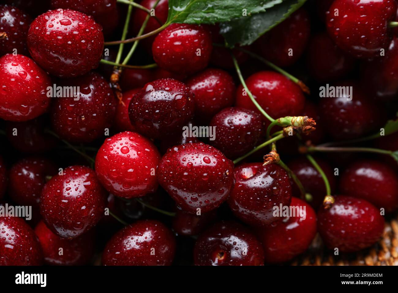 Texture of sweet cherries as background Stock Photo - Alamy
