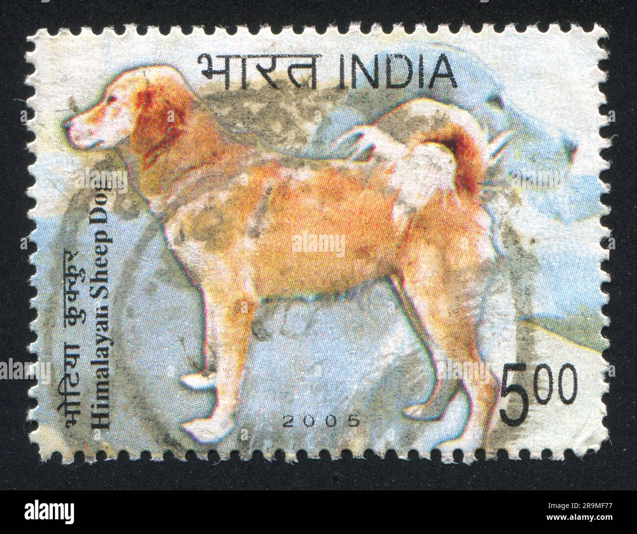 INDIA - CIRCA 2005 stamp printed by India shows, Himalayan sheep dog ...