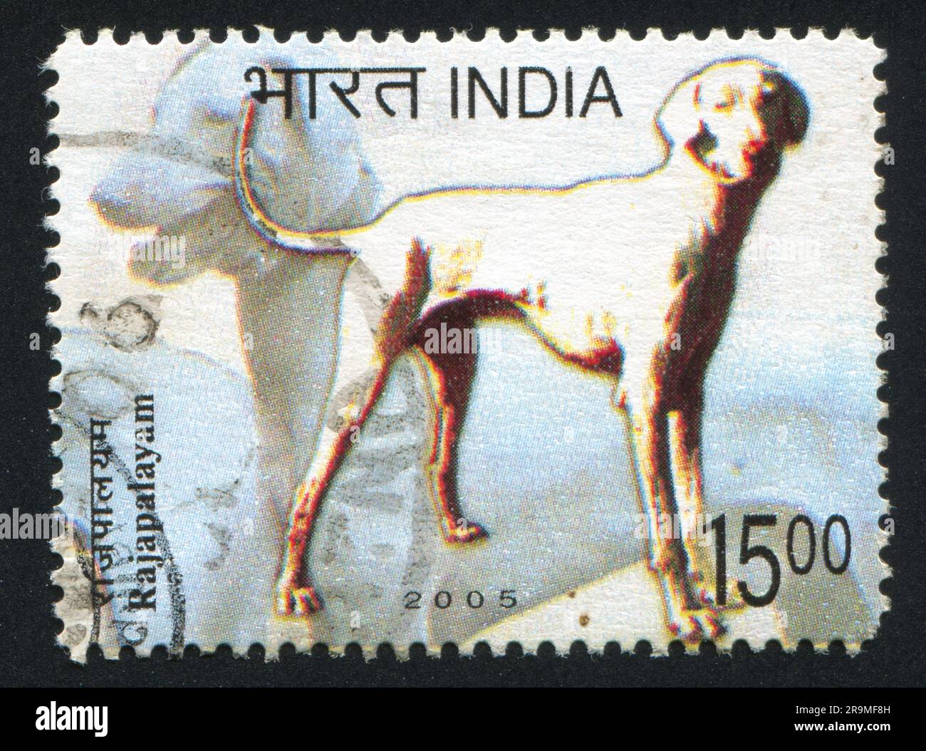 INDIA - CIRCA 2005: stamp printed by India, shows dog Rajapalayam ...