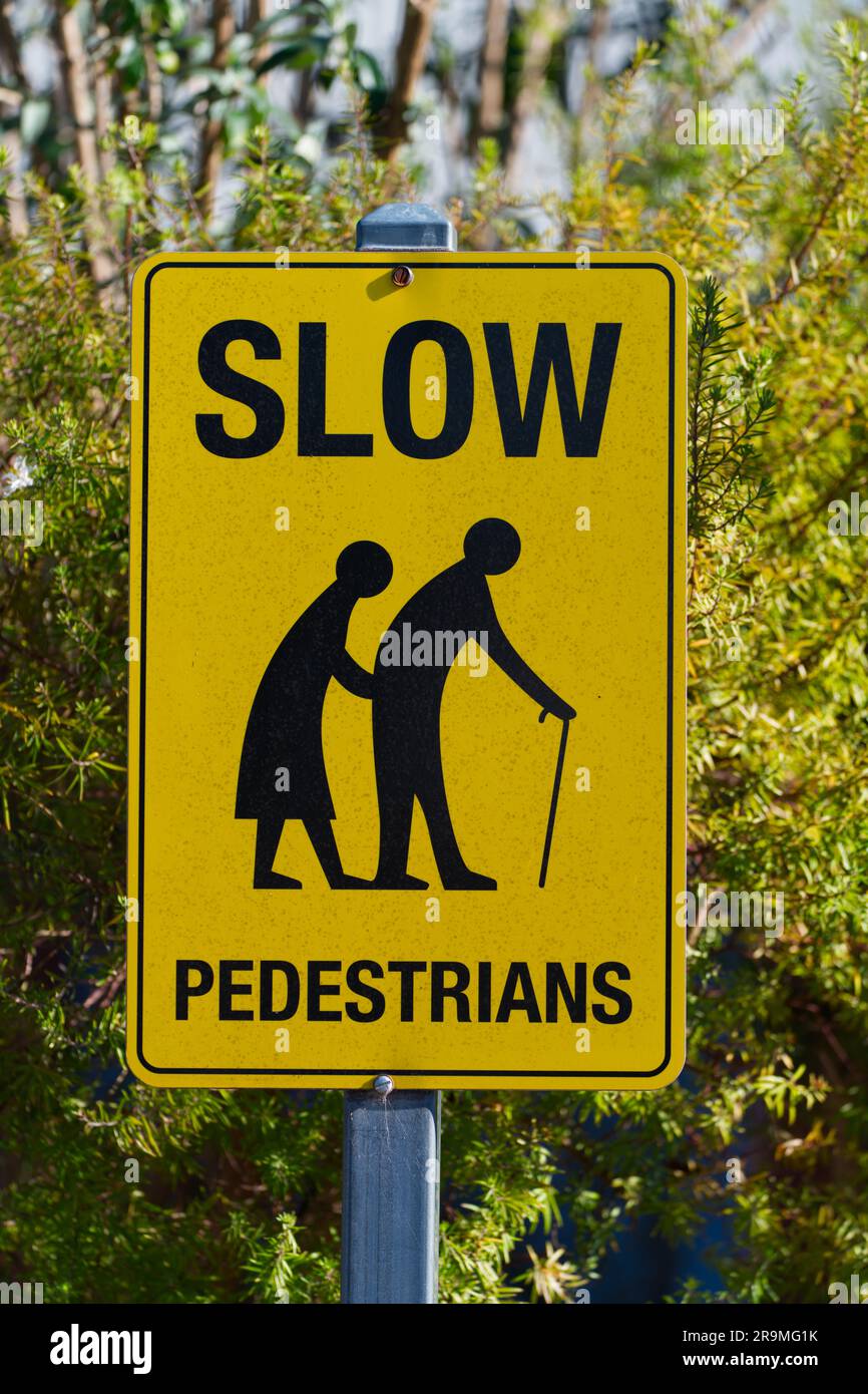 Caution slow down pedestrians sign on pole with yellow background ...