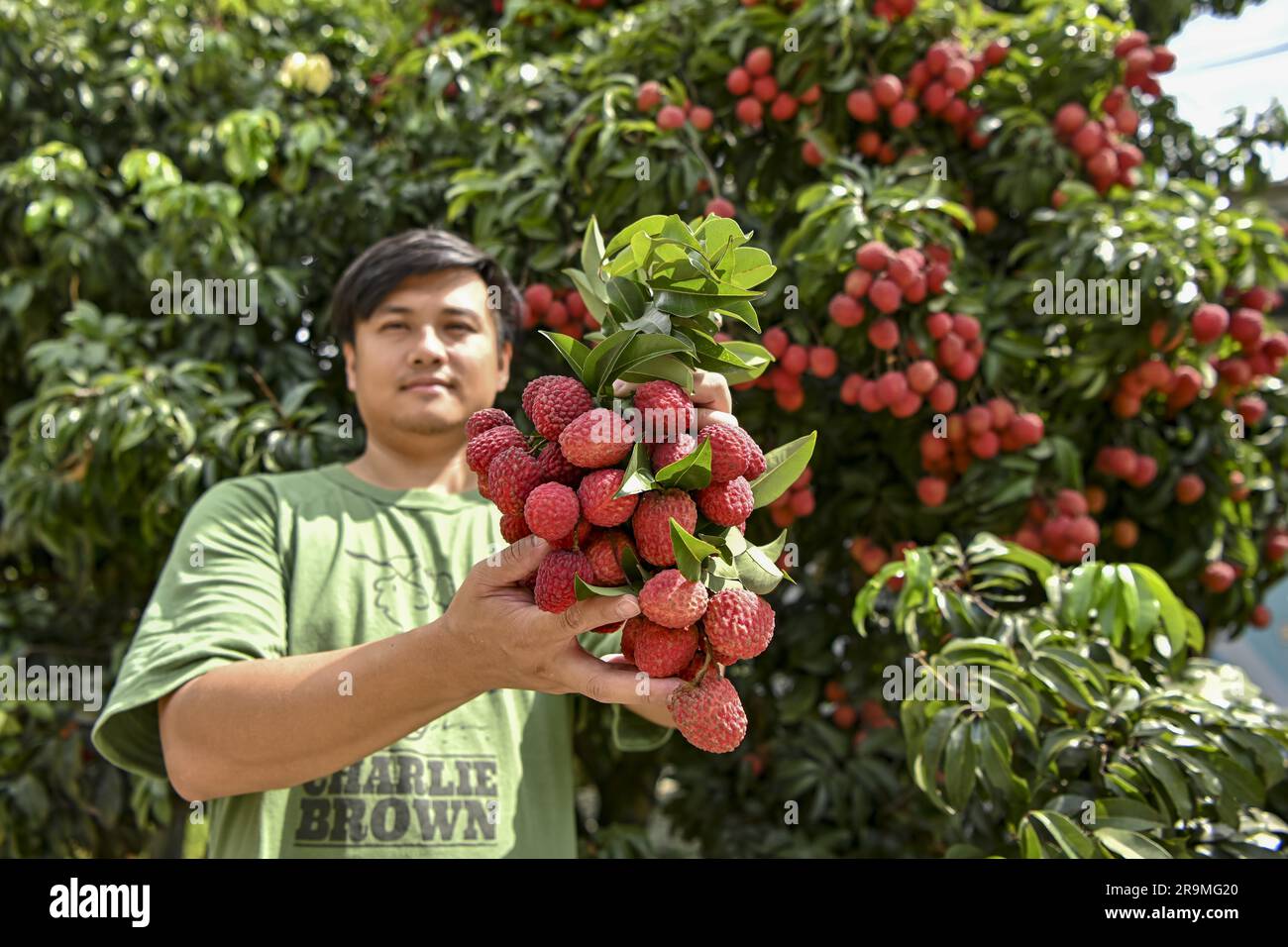**CHINESE MAINLAND, HONG KONG, MACAU AND TAIWAN OUT** Xianjinfeng ...