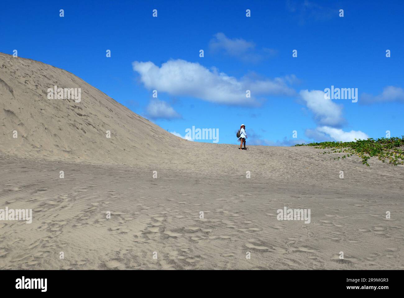SIgatoka Sand Dunes National Park, Fiji Stock Photo - Alamy
